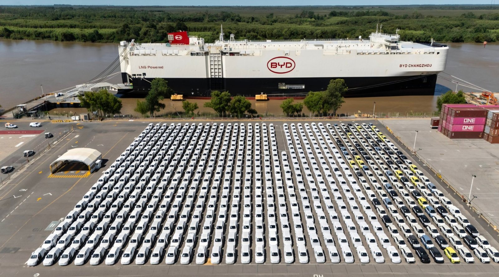 BYD Argentina: Nuevo Country Manager y ambiciosos planes de ventas ...